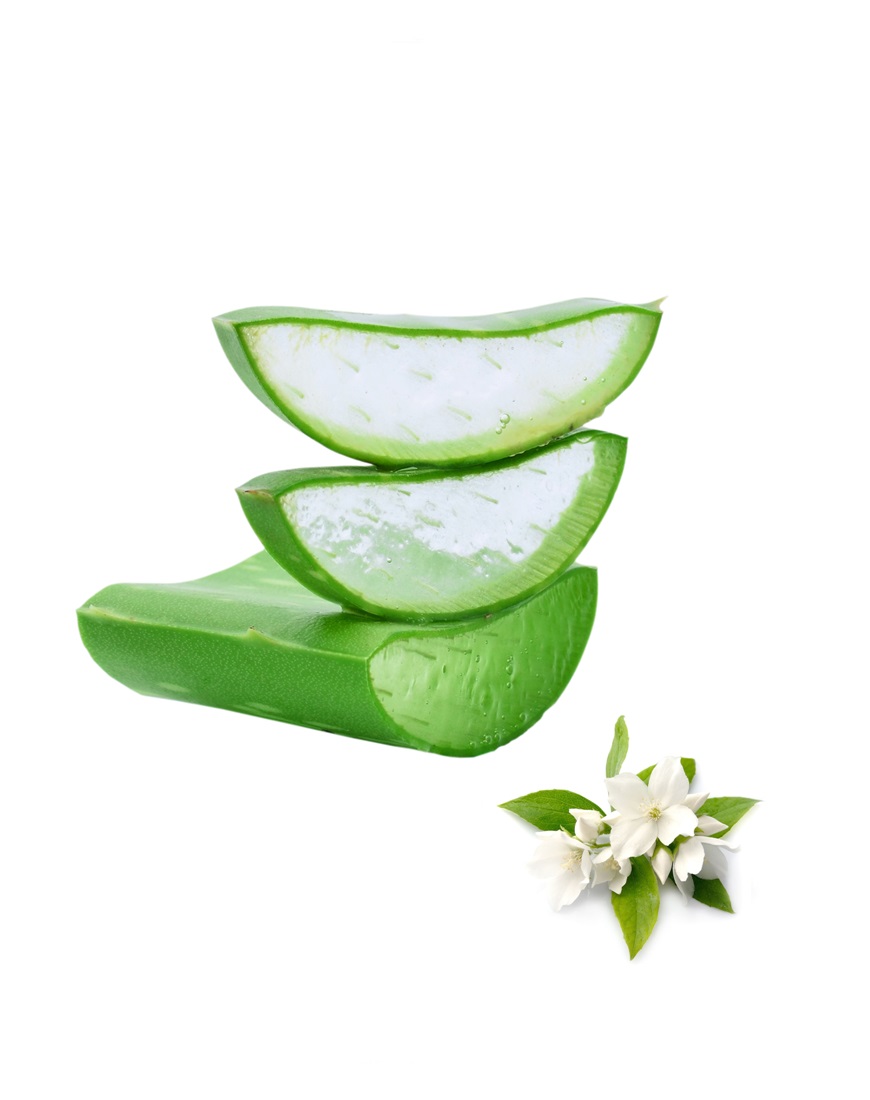 τζελ aloe vera